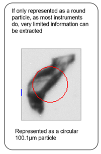 PI Shape Module | Add particle shape to your sizing instruments